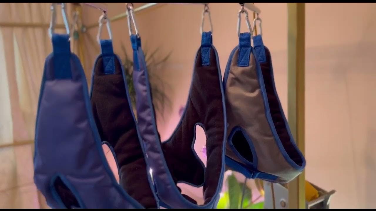 Петли Глиссона - YouTube