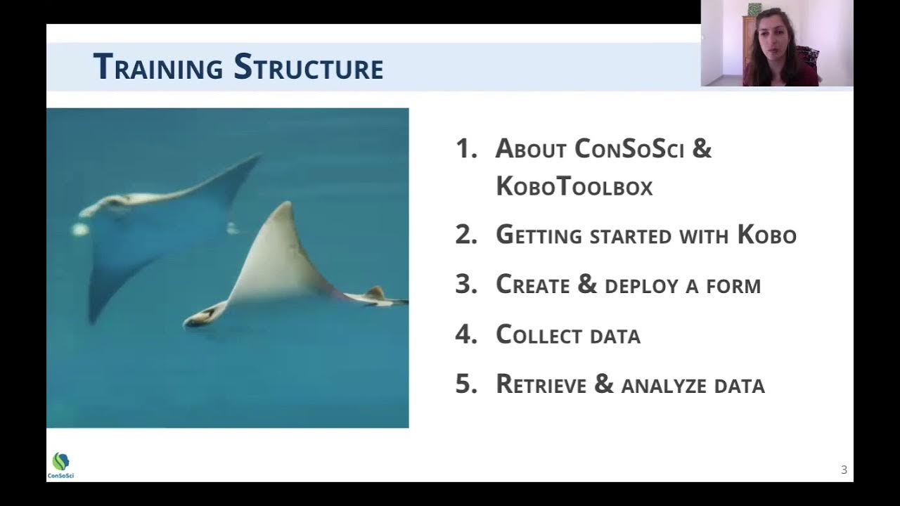 Kobotoolbox Training Part 1 - Introduction - YouTube