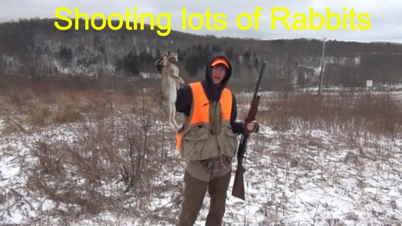 Nice day Rabbit Hunting( No Dogs) ( Graphic) - YouTube