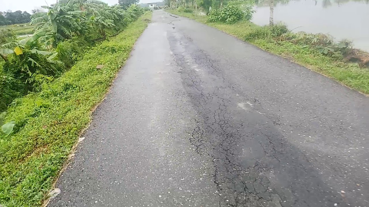 goes d kampung d tengah sawah bunyi nyaring kodok ngorek riang gembira ...