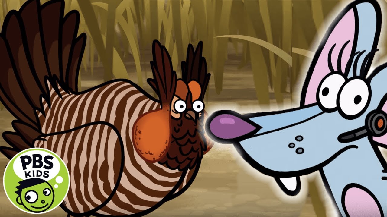 Nature Cat | Speaking Prairie Chicken! | PBS KIDS - YouTube