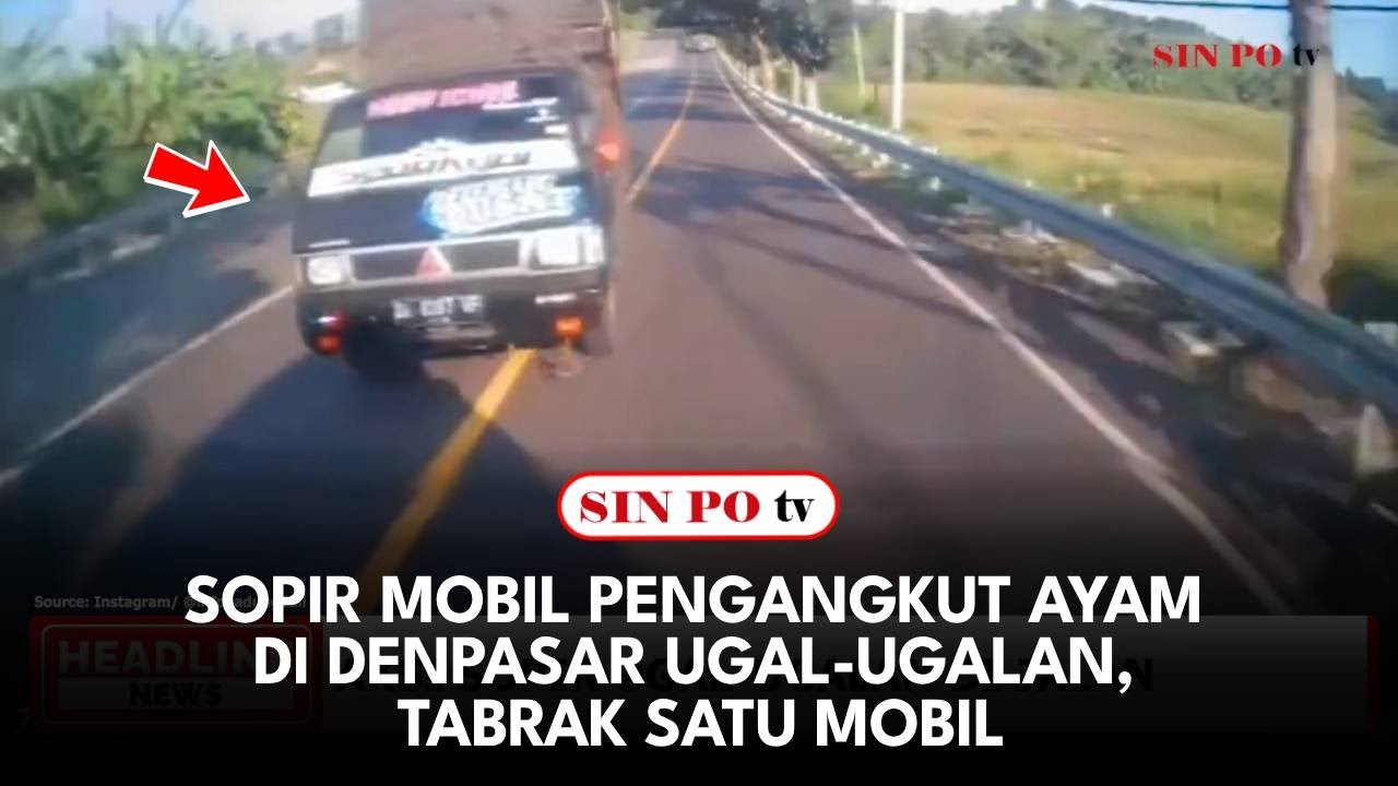 Sopir Mobil Pengangkut Ayam di Denpasar Ugal ugalan, Tabrak Satu Mobil ...