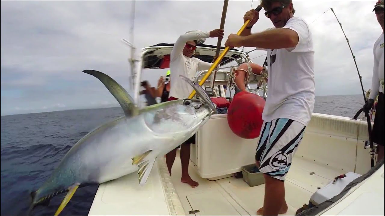 Tuamotu Fishing Excursion - YouTube