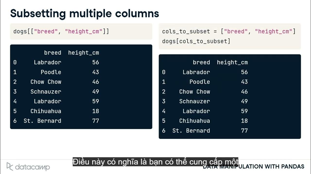Sorting and subsetting | Data Manipulation with pandas - YouTube