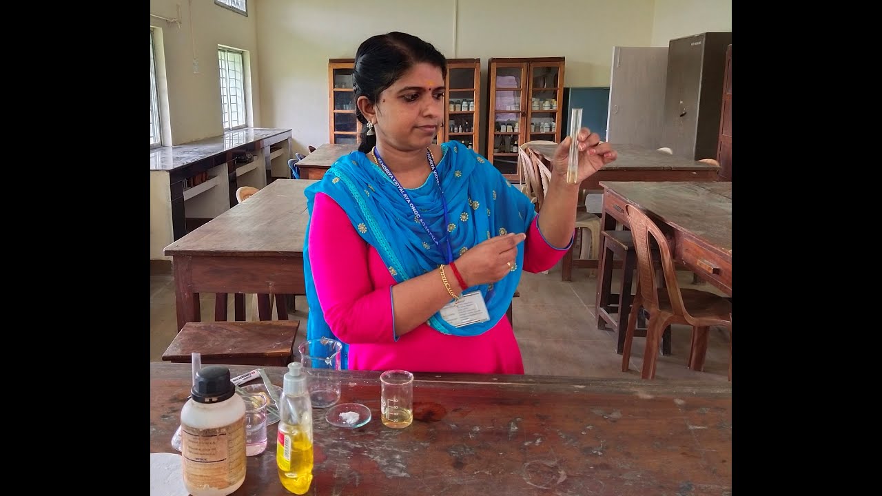 Lab activity- Isolation of DNA from plant material || class XII Biology ...