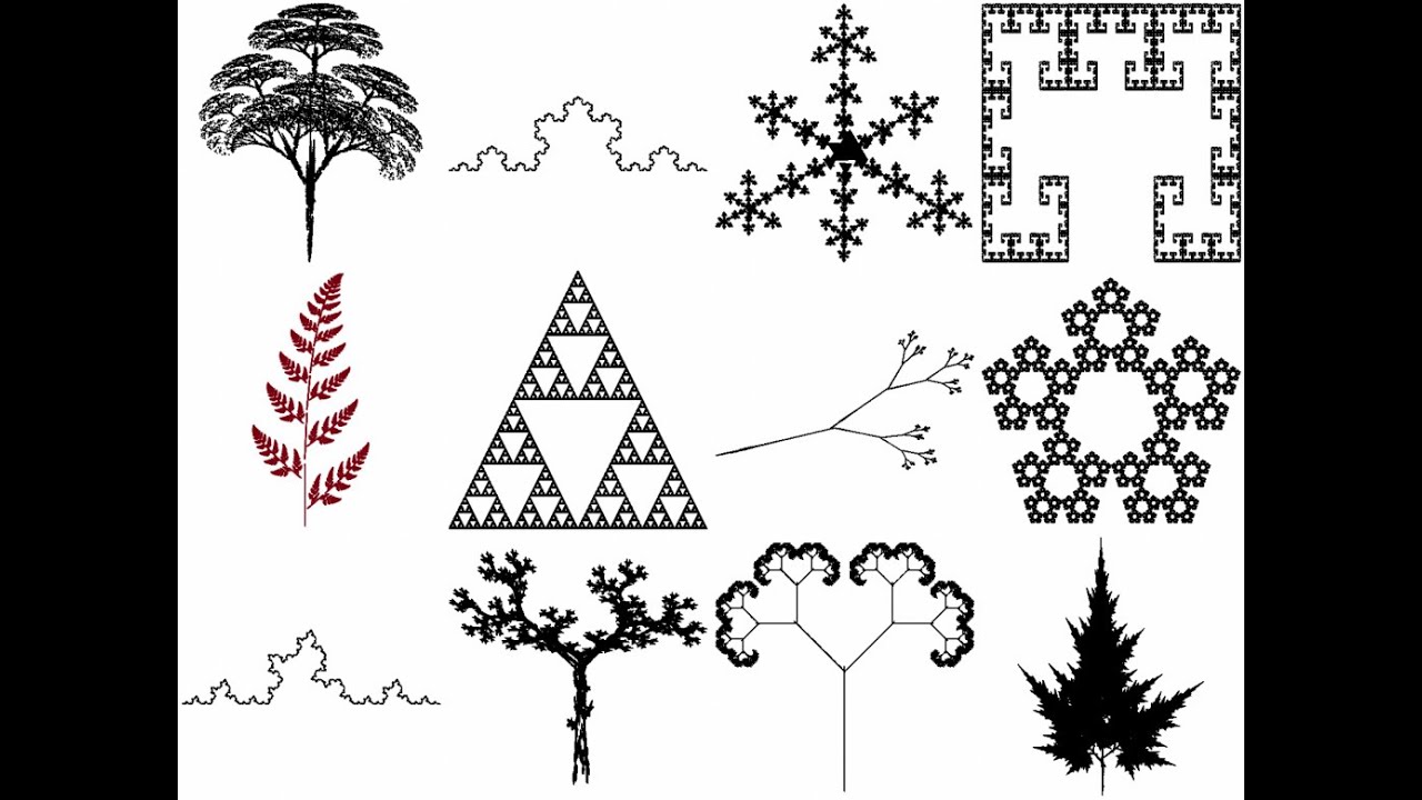 Exemplos de fractais na natureza - YouTube