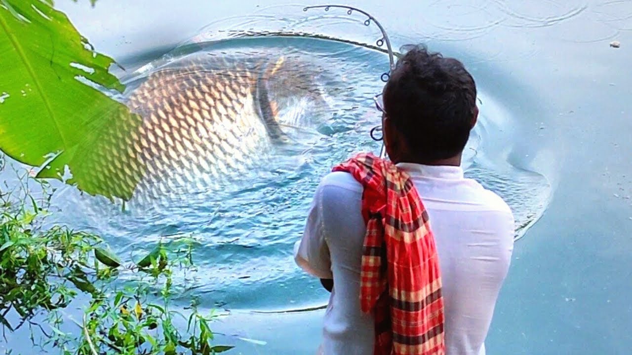Amazing Big Fishing | Best Traditional Hook Fishing By Expert Fisherman ...
