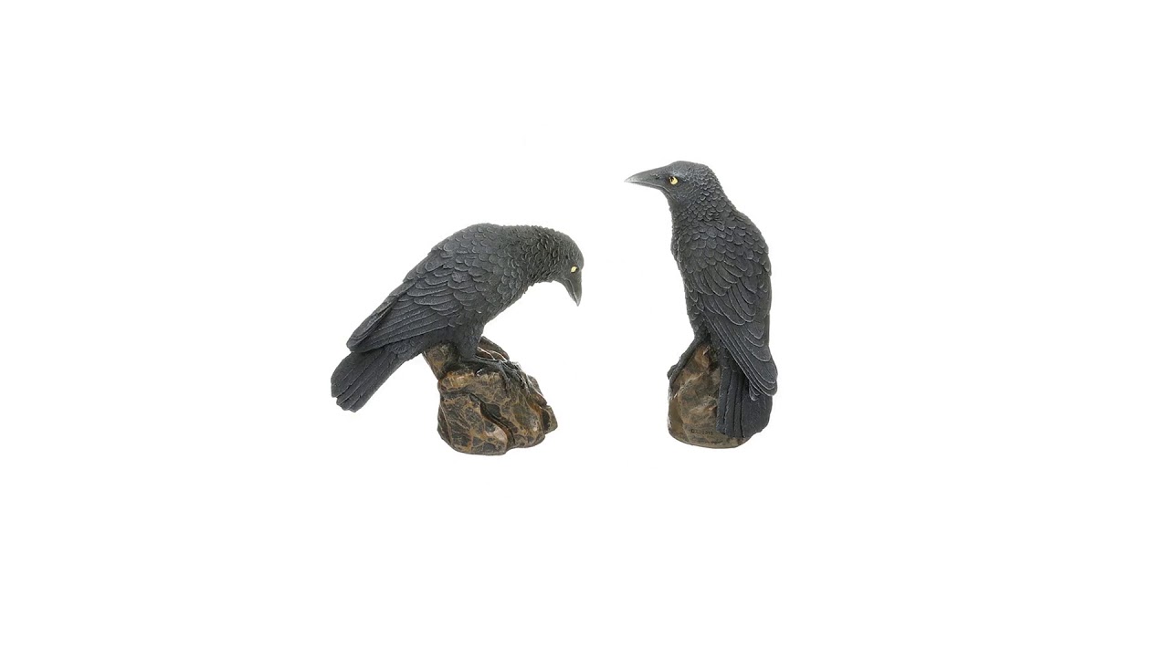 Design Toscano's Mystic Night Raven Statues - YouTube