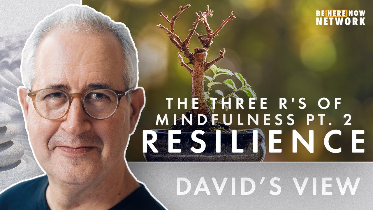 The Three R’s of Mindfulness Pt. 2 Resilience w/ Michael Kammers ...