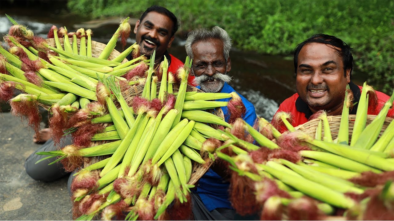 Baby corn Chicken by Daddy Arumugam and world food tube | Village food ...
