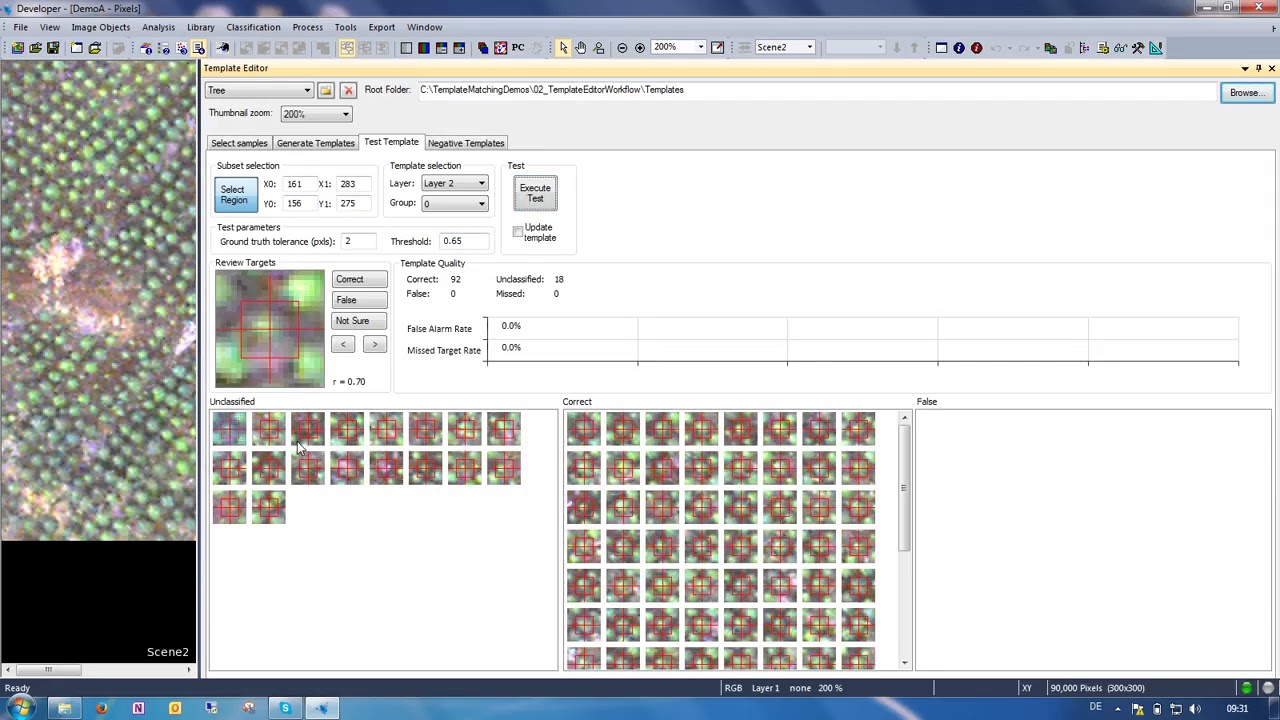 Ecognition Developer Template Editor Workflow Tree counting OK - YouTube