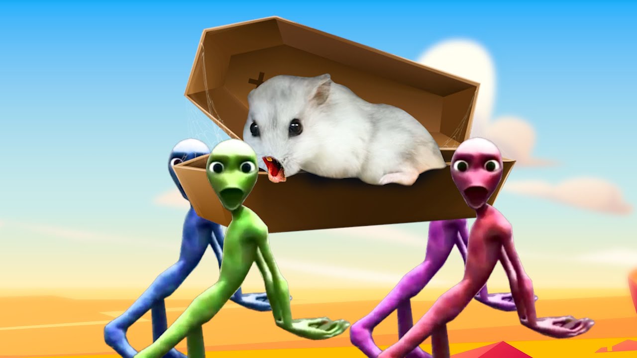 Cute Hamster pets DAME TU COSITA but with Traps in maze Coffin Dance ...