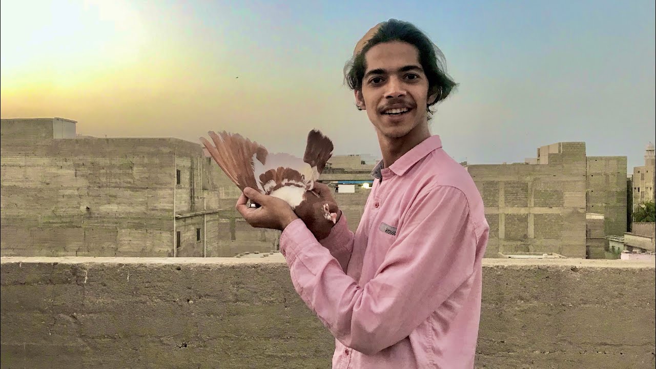 kabootro Ke Par Nh Hai 🕊🕊 ️ - YouTube