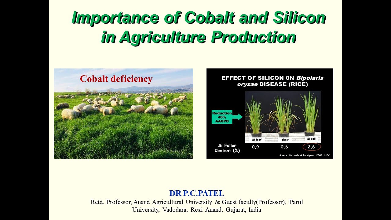 Importance of Cobalt and Silicon in Agriculture Production-Dr. P. C ...