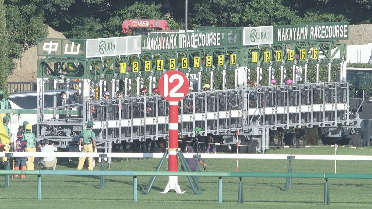 2022 SPRINTERS STAKES (G1) | JRA Official - YouTube