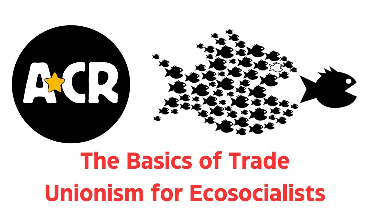 The basics of trade unionism - AntiCapitalist Resistance - YouTube