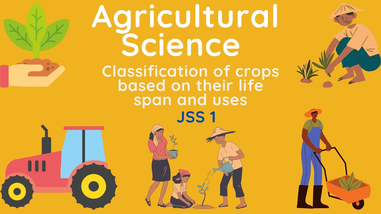 05 - Agricultural Science | J.S.S.1 | Classification of Crops Based on ...