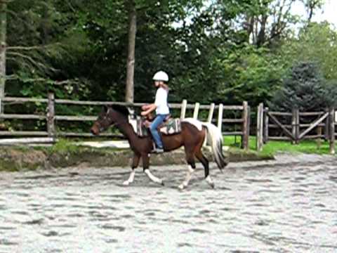 Trotter Lesson Video - YouTube