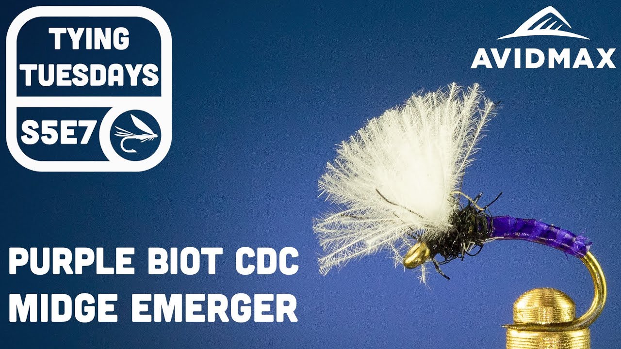 How to tie the Purple Biot CDC Midge Emerger | AvidMax Fly Tying ...