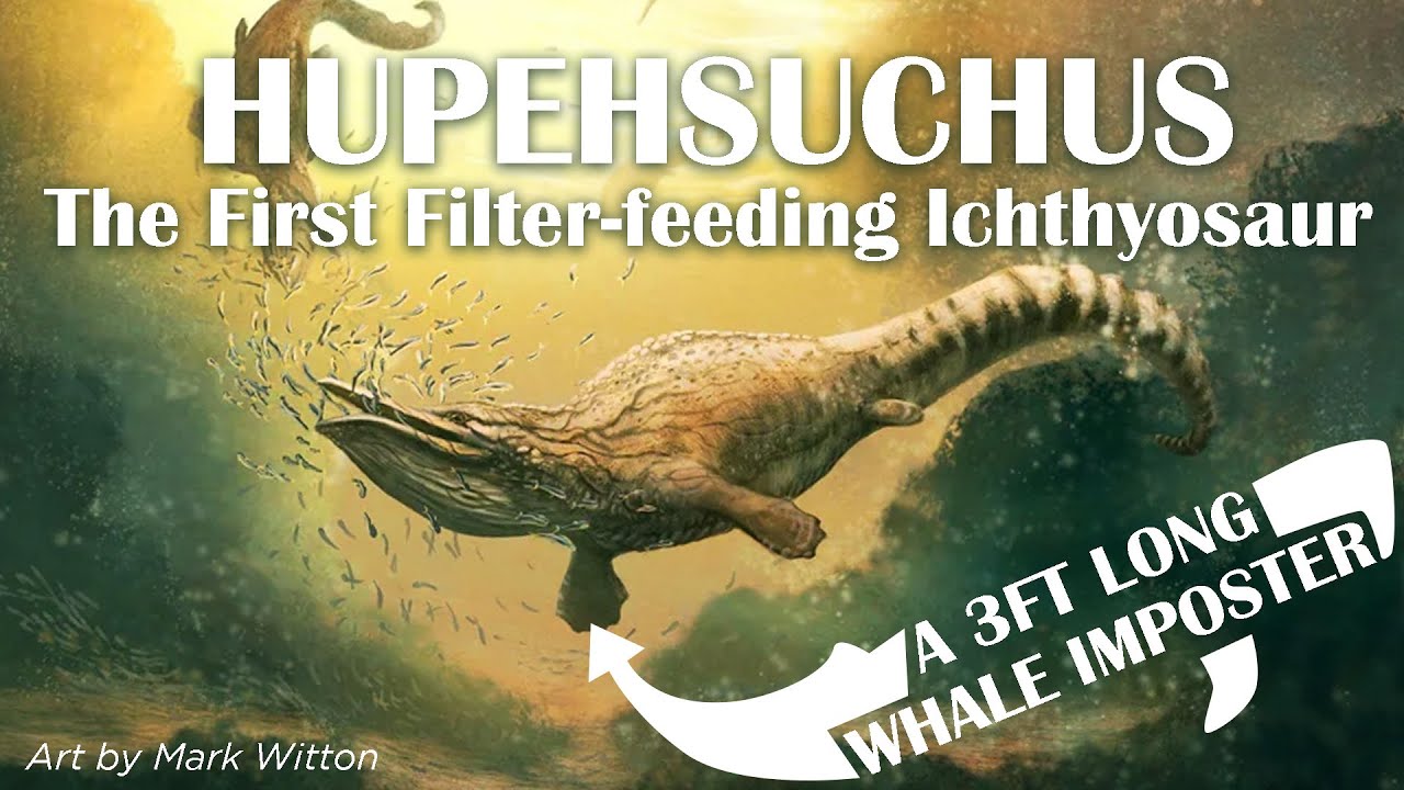 The First Filter-Feeding Reptile - YouTube