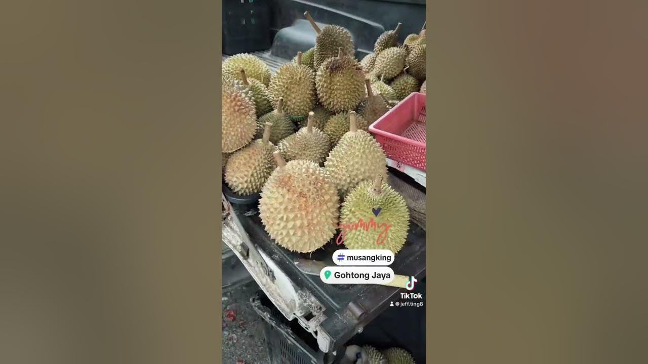 Musang King Durian & Black Thorn Durian at Gohtong Jaya, Genting Highland Malaysia #durian # ...