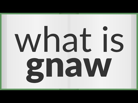 Gnaw | meaning of Gnaw - YouTube