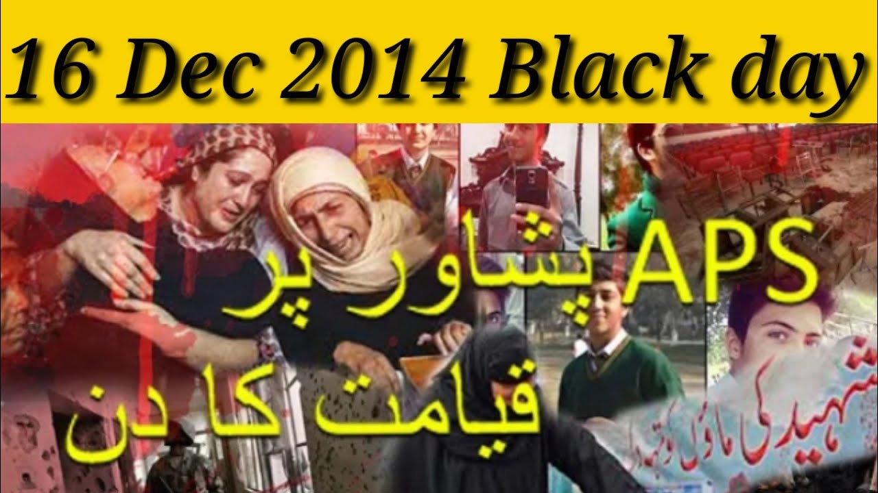 16 December 2014 || Aps Peshawar Saneha || Aps attack short video ...