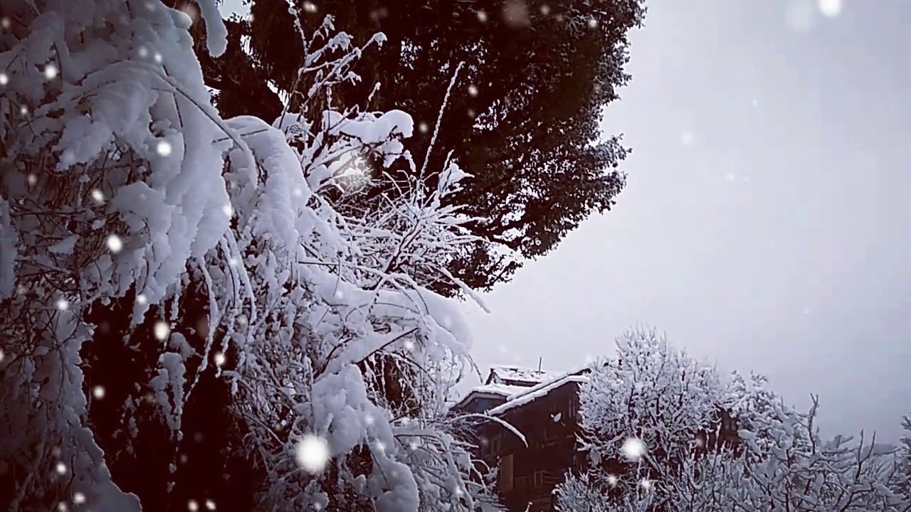 Parvti valley Snow foll.pulga - YouTube