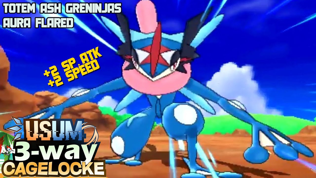 THIS TOTEM IS INSANE!!! Pokemon USUM 3Way Cagelocke! 11 - YouTube