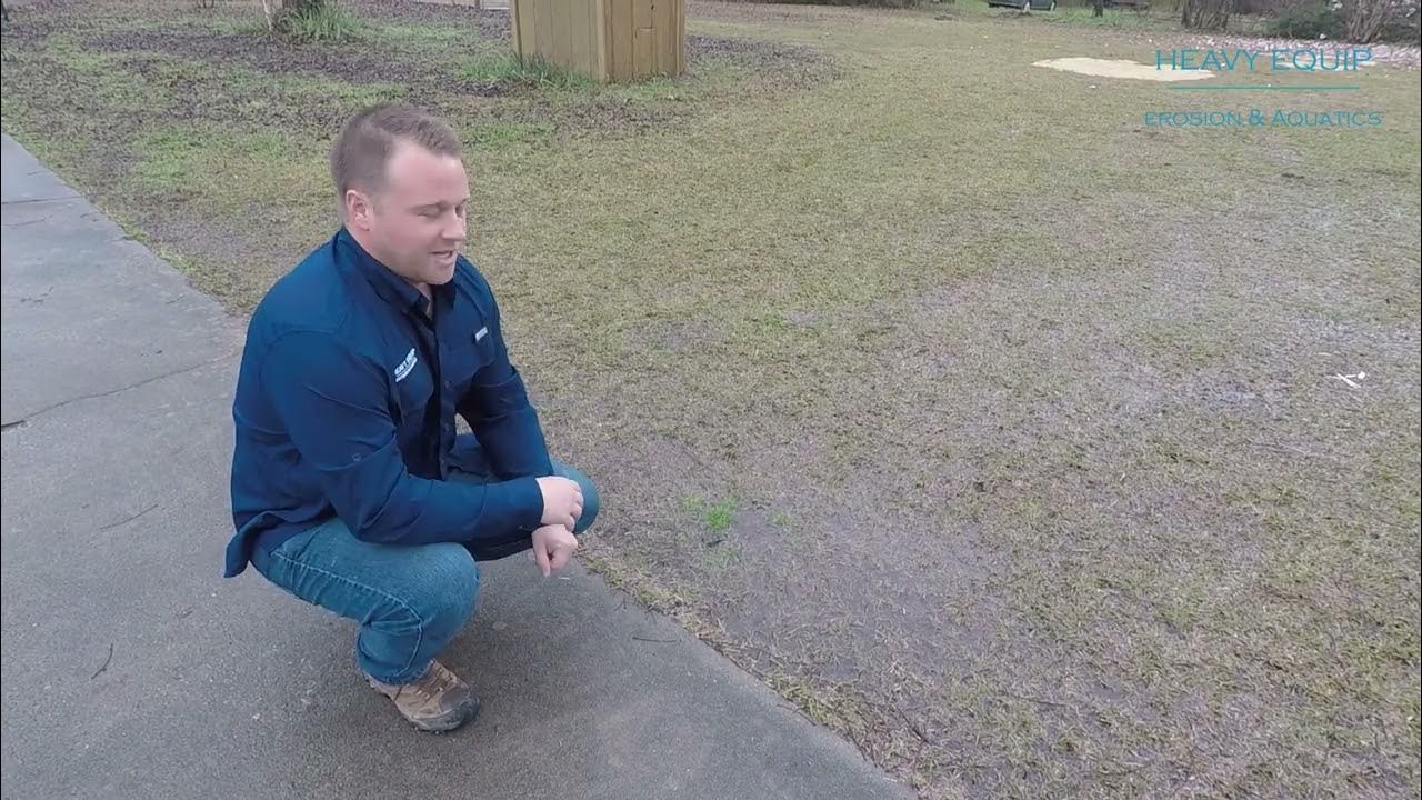What to do with Low Spot Yard Drainage Issues - YouTube