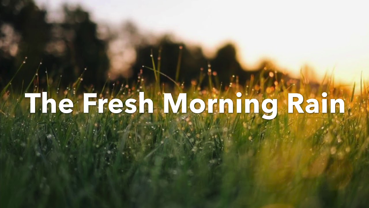 The Fresh Morning Rain - YouTube