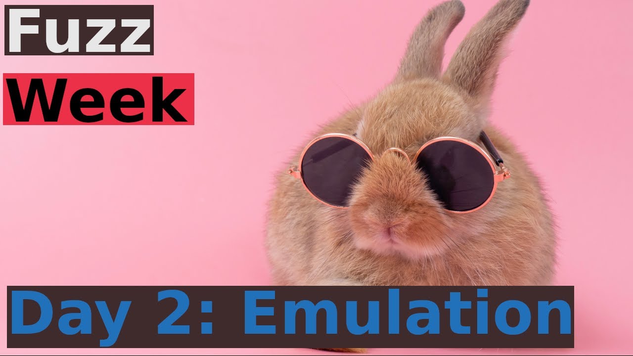 Fuzz Week Day 2 Risc V Emulator For Scalable And Instrumentable Fuzzing Youtube 5072