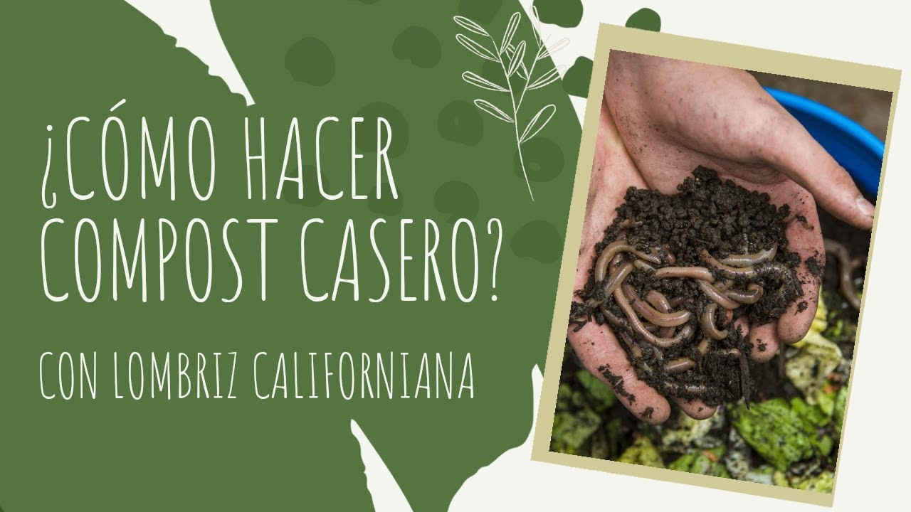 Como Hacer Lombricompostera Casera - YouTube