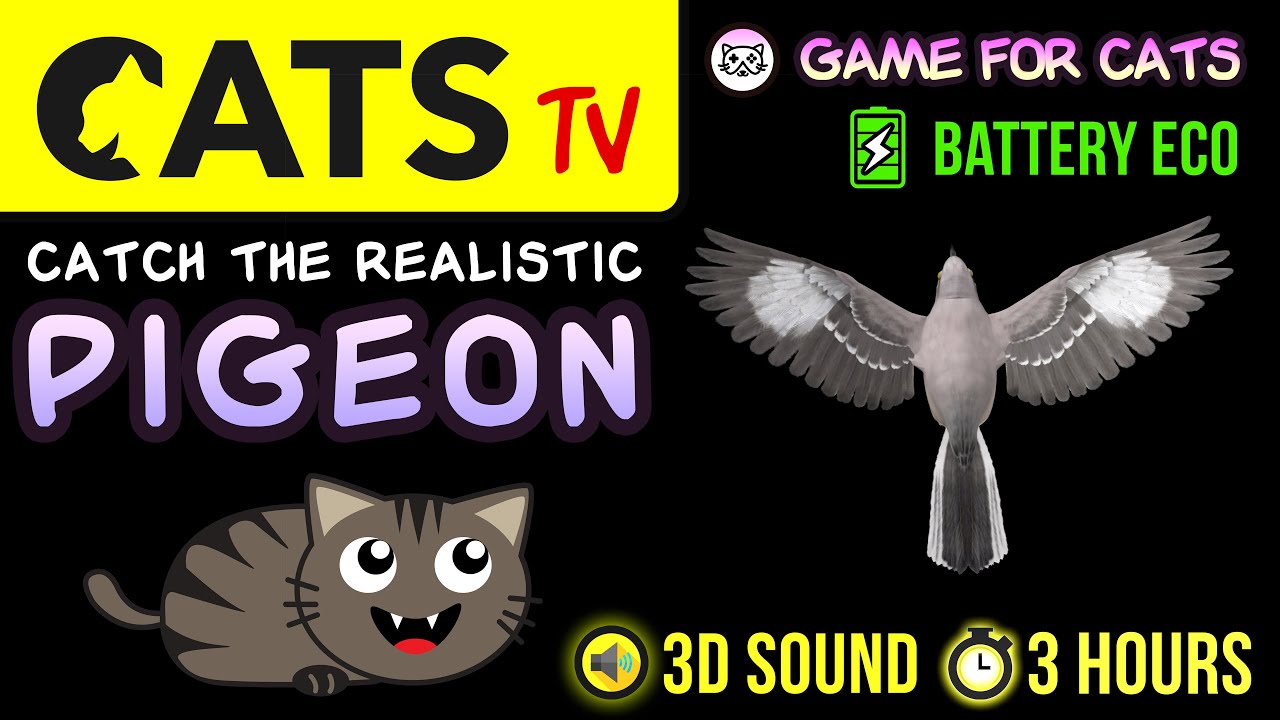 GAME FOR CATS - Realistic flying bird 🐦 Battery ECO 🔋 3 HOURS [CATS TV ...