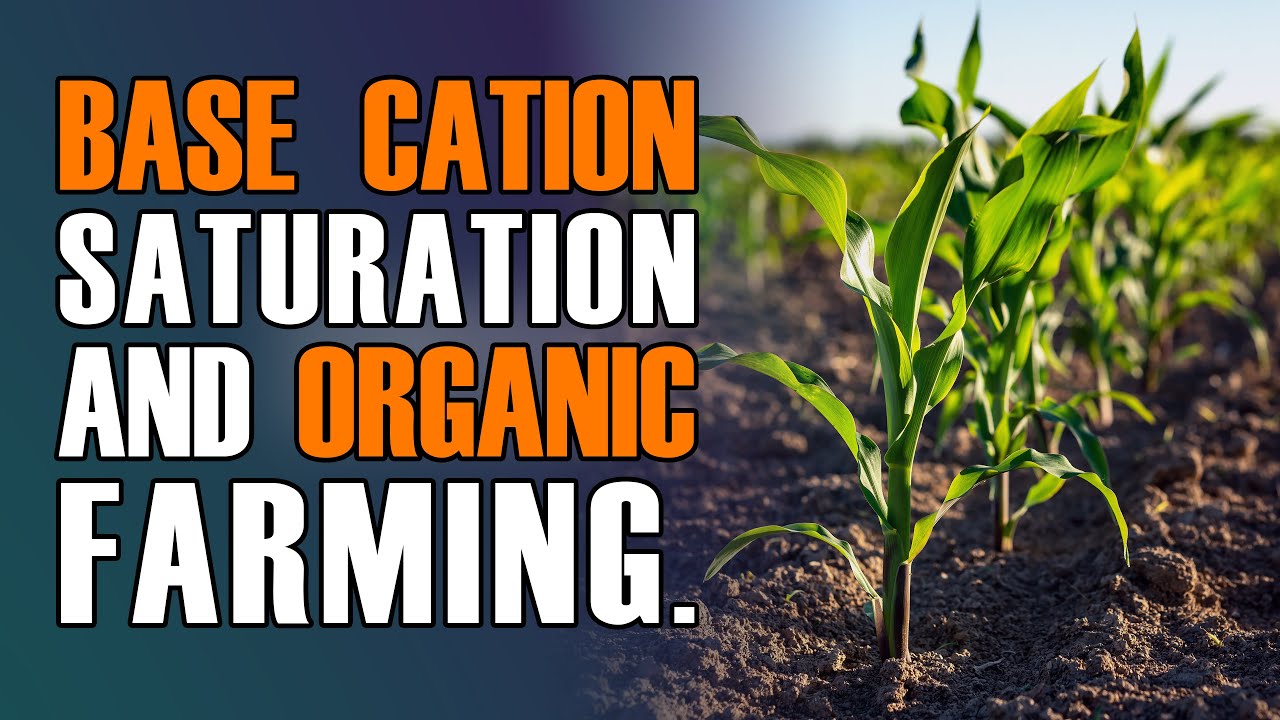 Base Cation Saturation and Organic Farming. - YouTube