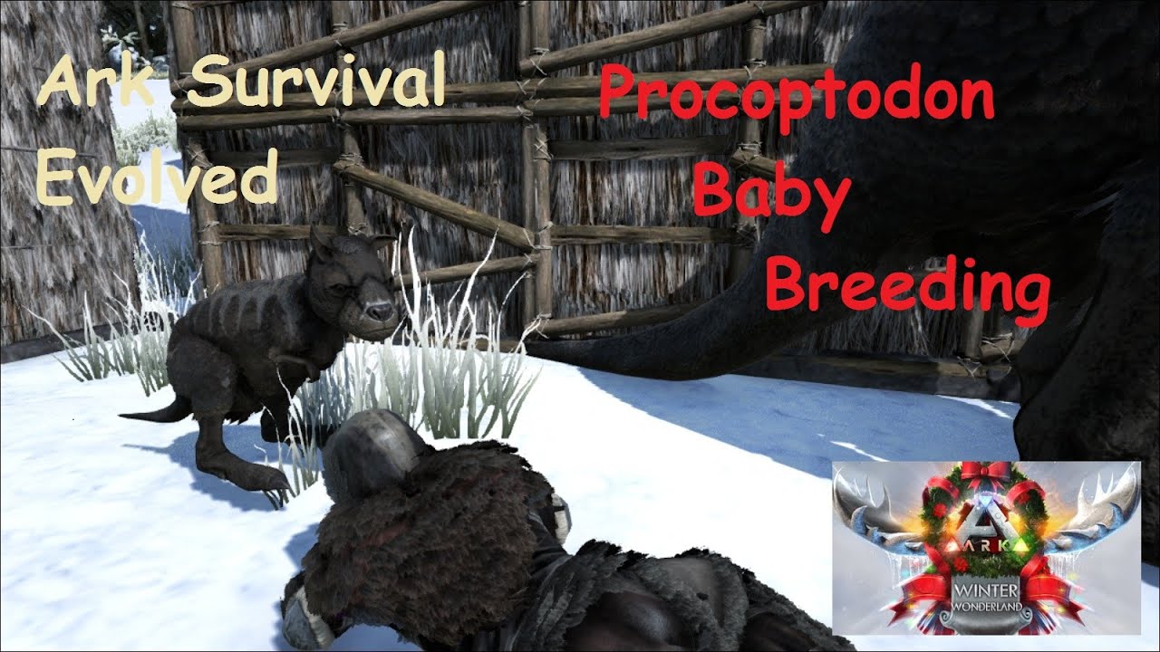 Ark Survival Evolved *Baby Procoptodon - Dino Breeding [DE/GER] - YouTube