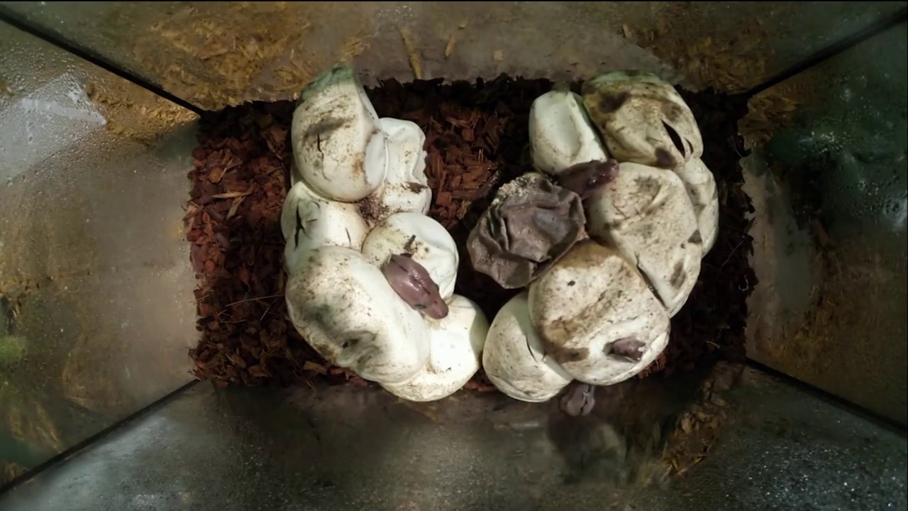 The First 72 Hours - YouTube