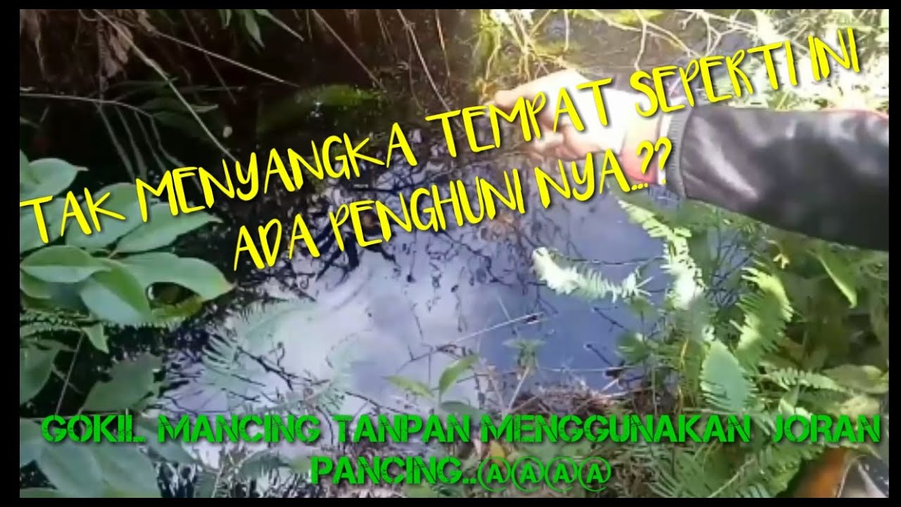 TAK MENYANGKA TEMPAT SEPERTI INI ADA PENGHUNINYA..?//GOKIL MANCING ...