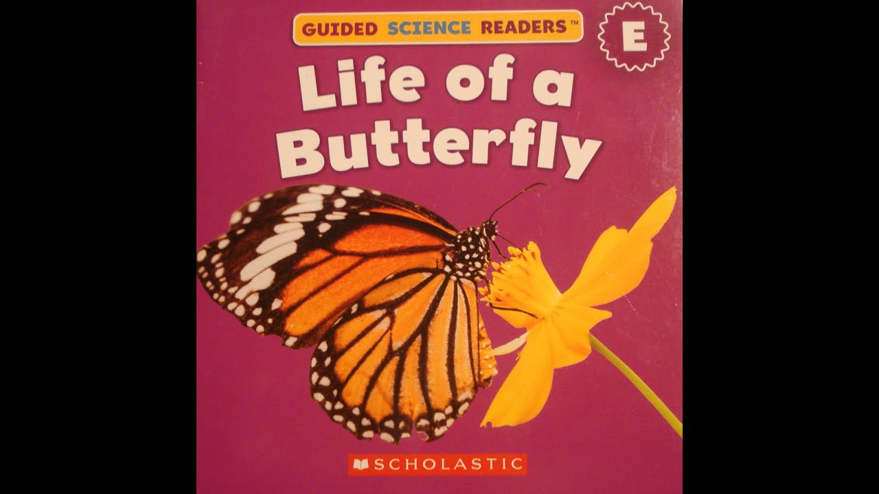 SCHOLASTIC | GUIDED SCIENCE READERS | Life of a Butterfly | LYDIA ...