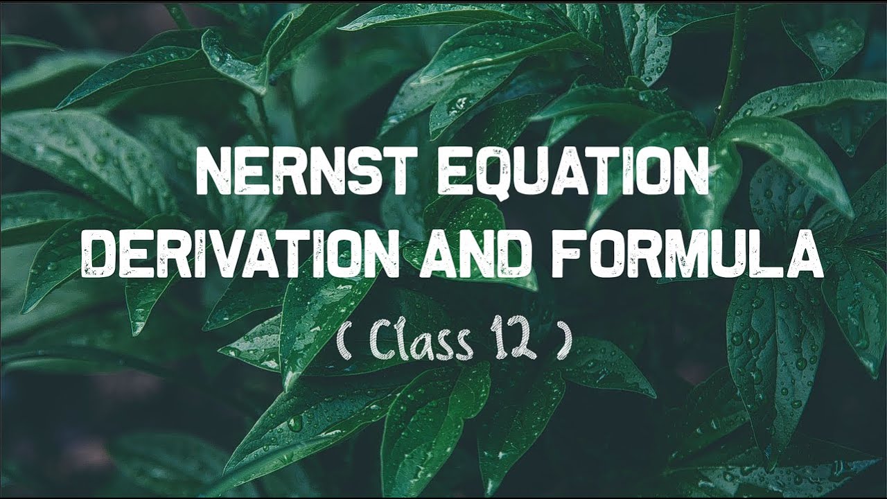 Nernst Equation Derivation and Formula Class 12 - YouTube