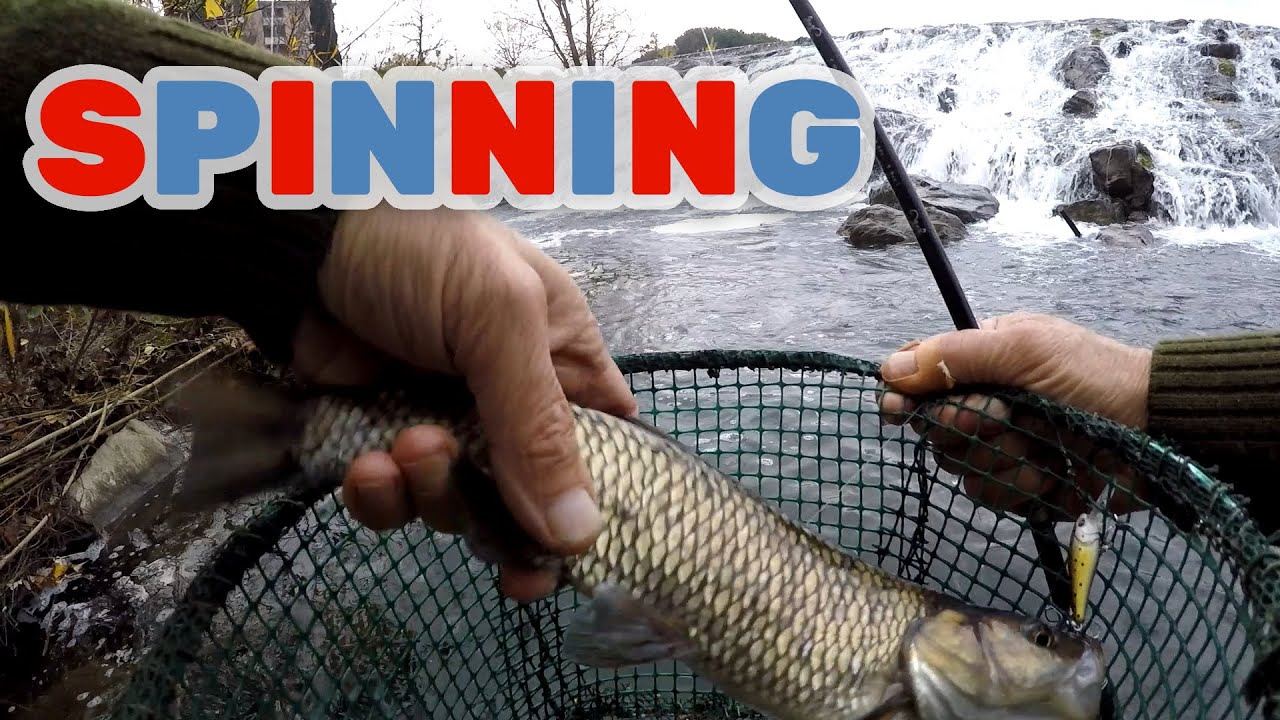 IL RITORNO! Pesca a Spinning nel Fiume [Pescare in Acqua Dolce con le ...