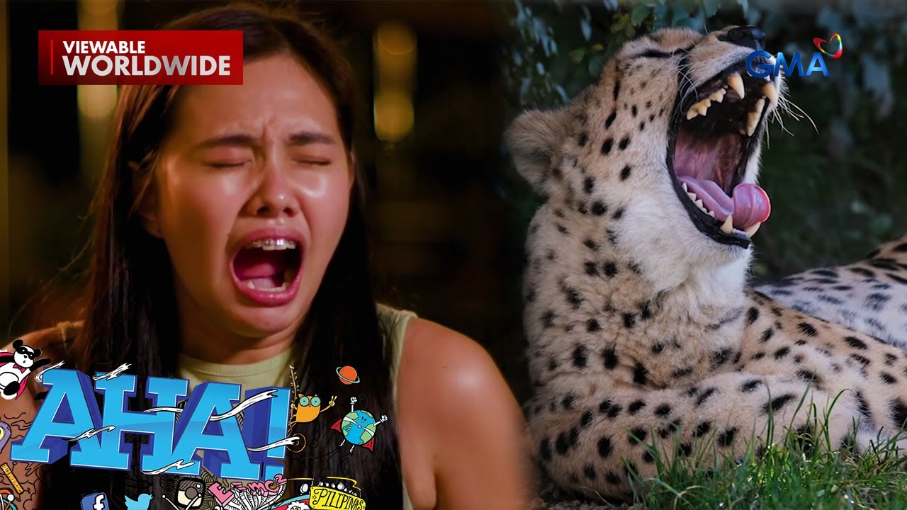 Bakit nga ba tila nakakahawa ang paghikab? | AHA! - YouTube