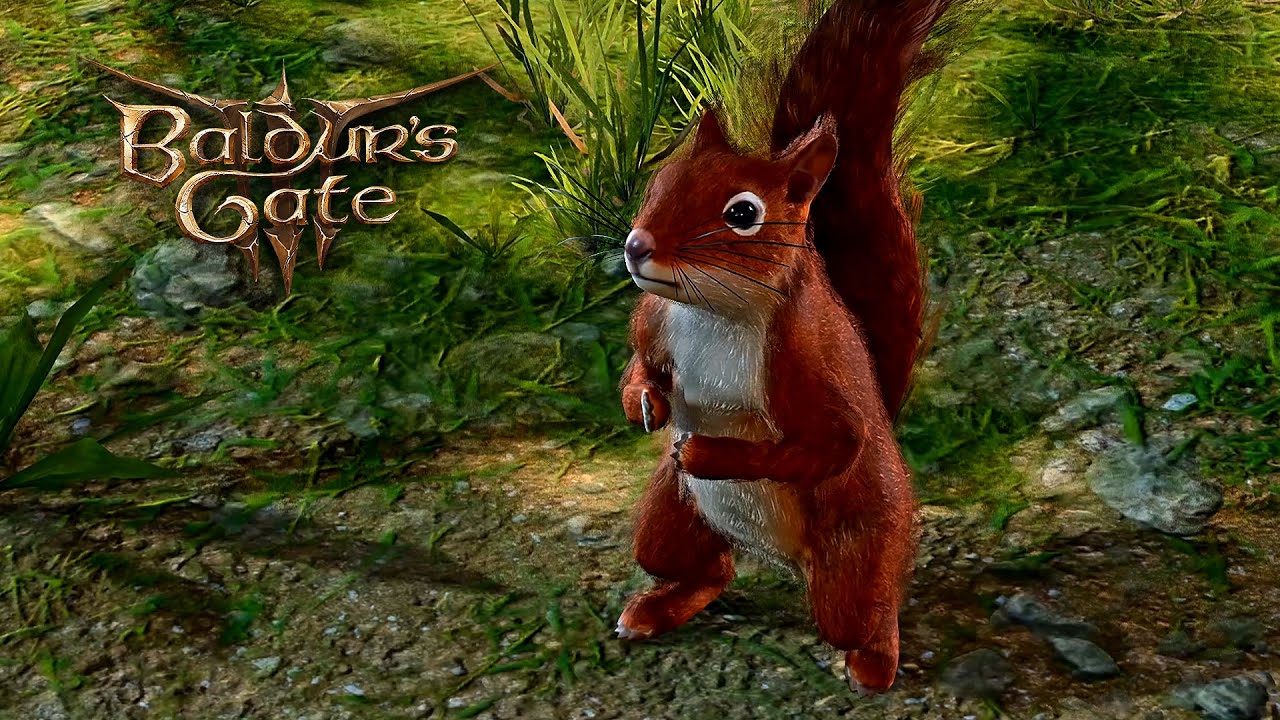 Baldur's Gate 3 - Dark Urge Slaughters Squirrel - YouTube