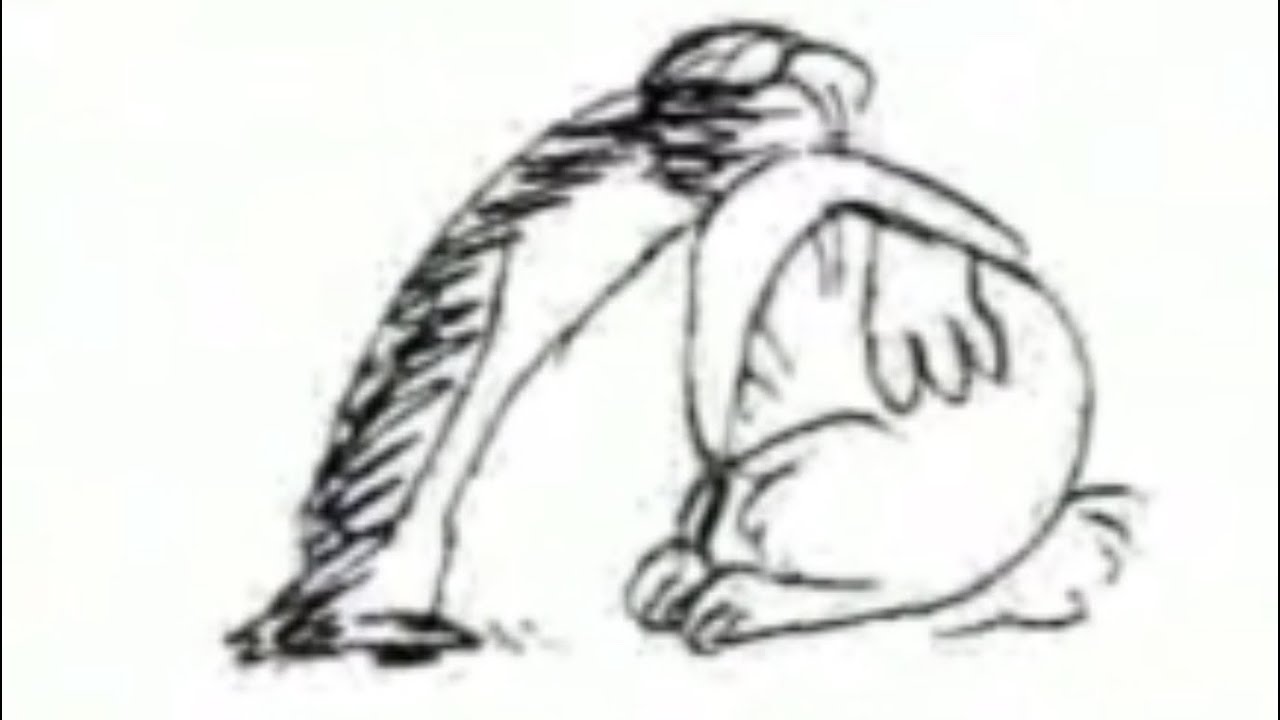Penguin eats polar bear animation (by Aldi) - YouTube