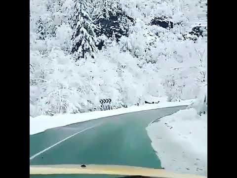 Nazile borcali toy mahnilari yeni 2018 il