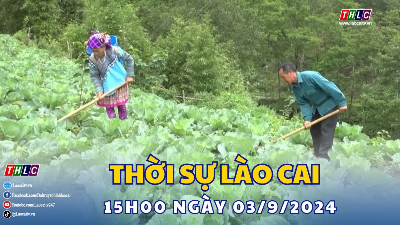 Thời sự Lào Cai 15h00 (03/9/2024) | THLC - YouTube