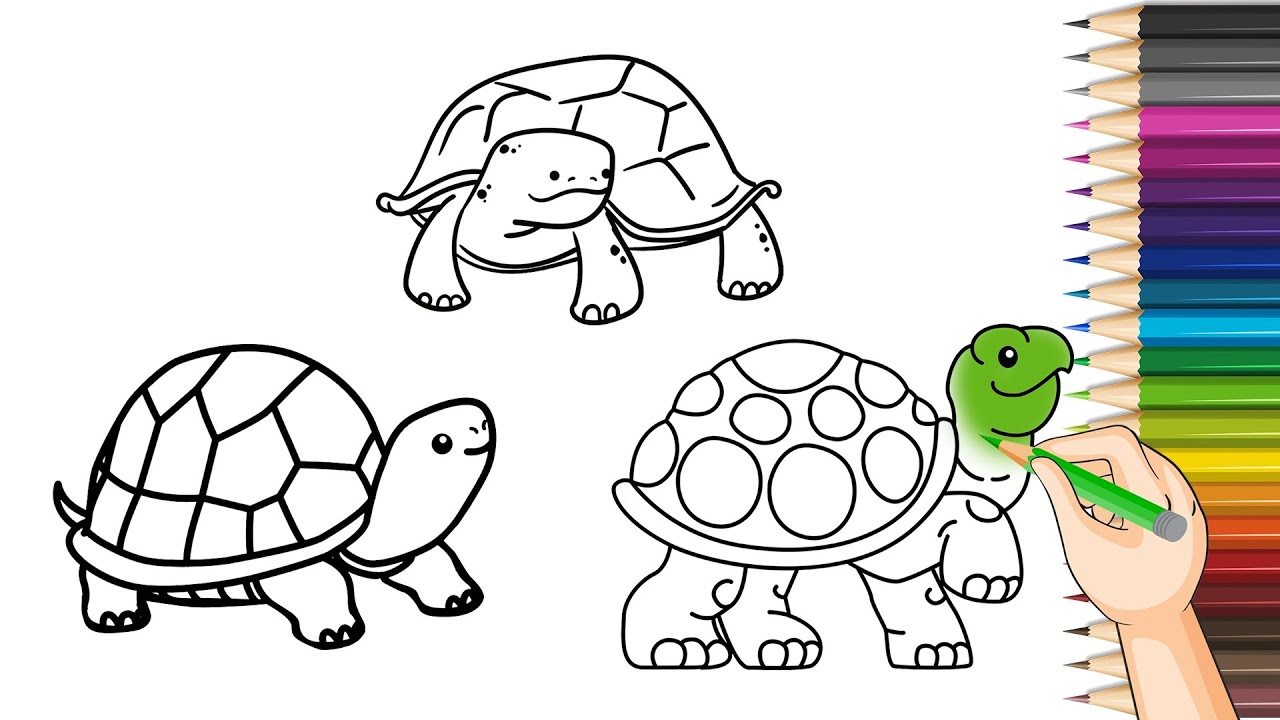 Colouring Cute Turtle | Coloring For Kids | Coloring With Me #036 - YouTube