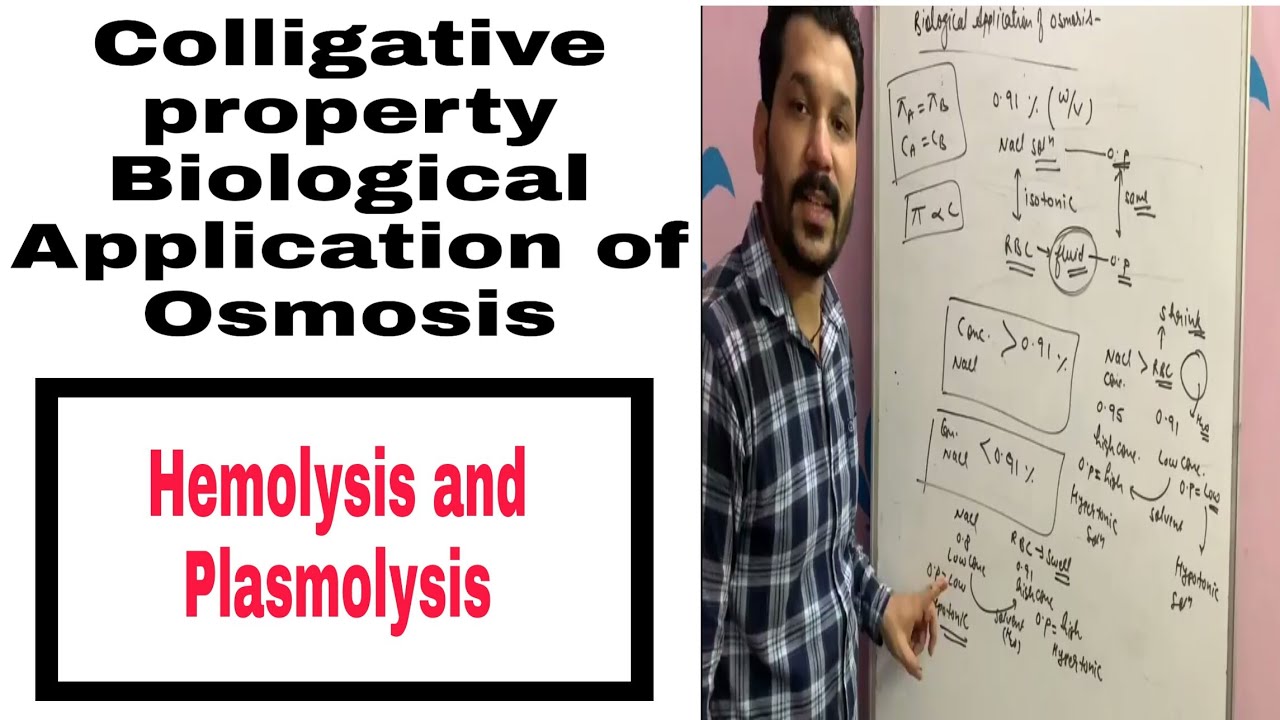biological application of osmosis/Hemolysis/plasmolysis and Reverse ...