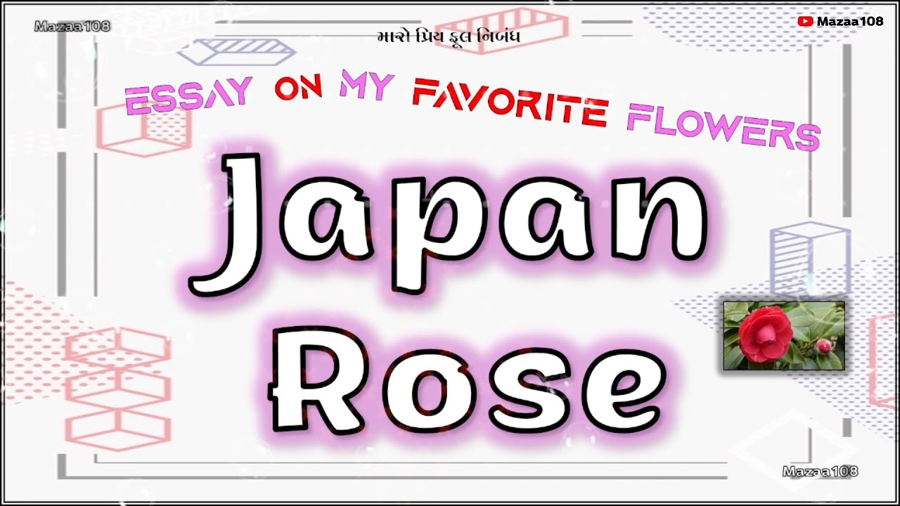 Japan Rose Flower | Essay On Japan Rose Flower | My Favorite Flower ...