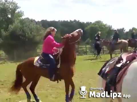 BOYLE AT DUSMAN BASINA